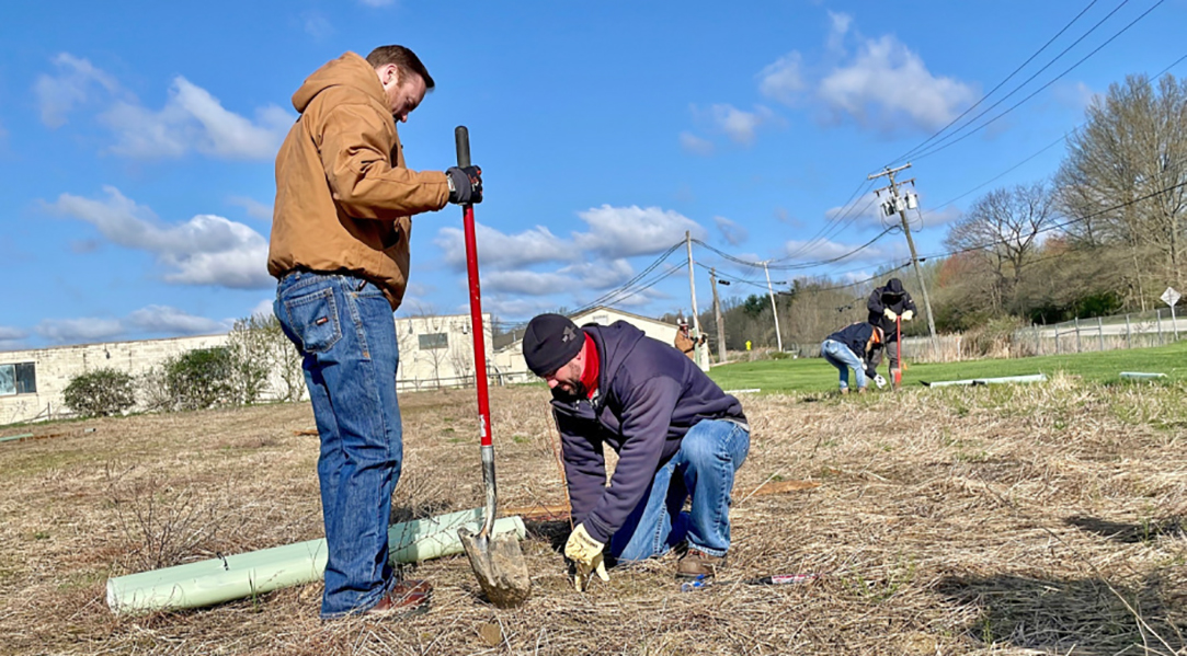 FirstEnergy to donate, plant 700 trees | News, Sports, Jobs - The ...